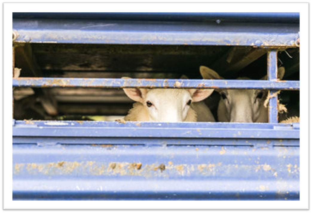 What are biggest threats to farm security? - Farsight Security | Alarm ...